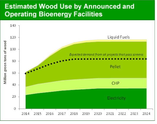 Wood Bioenergy Update - Forisk