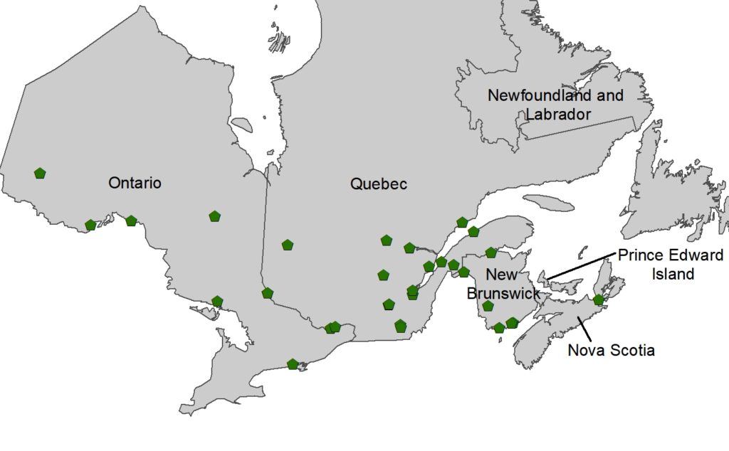 Spotlight on Eastern Canada Fiber Prices - Q1 2020 - Forisk